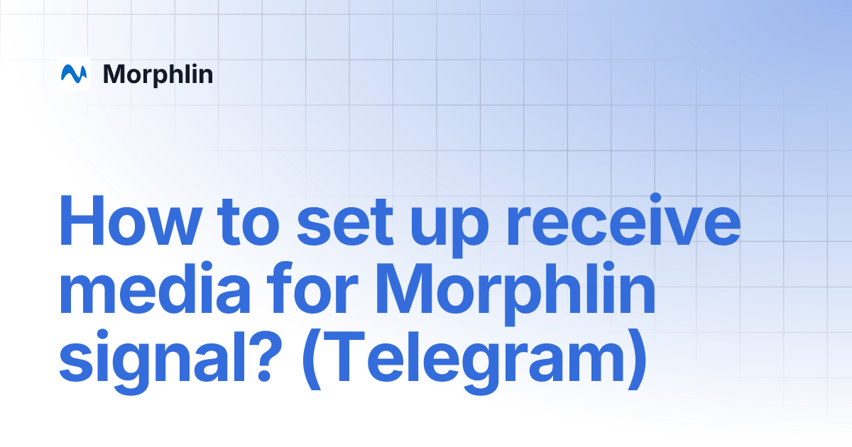 How to set up receive media for Morphlin signal? (Telegram) | Morphlin